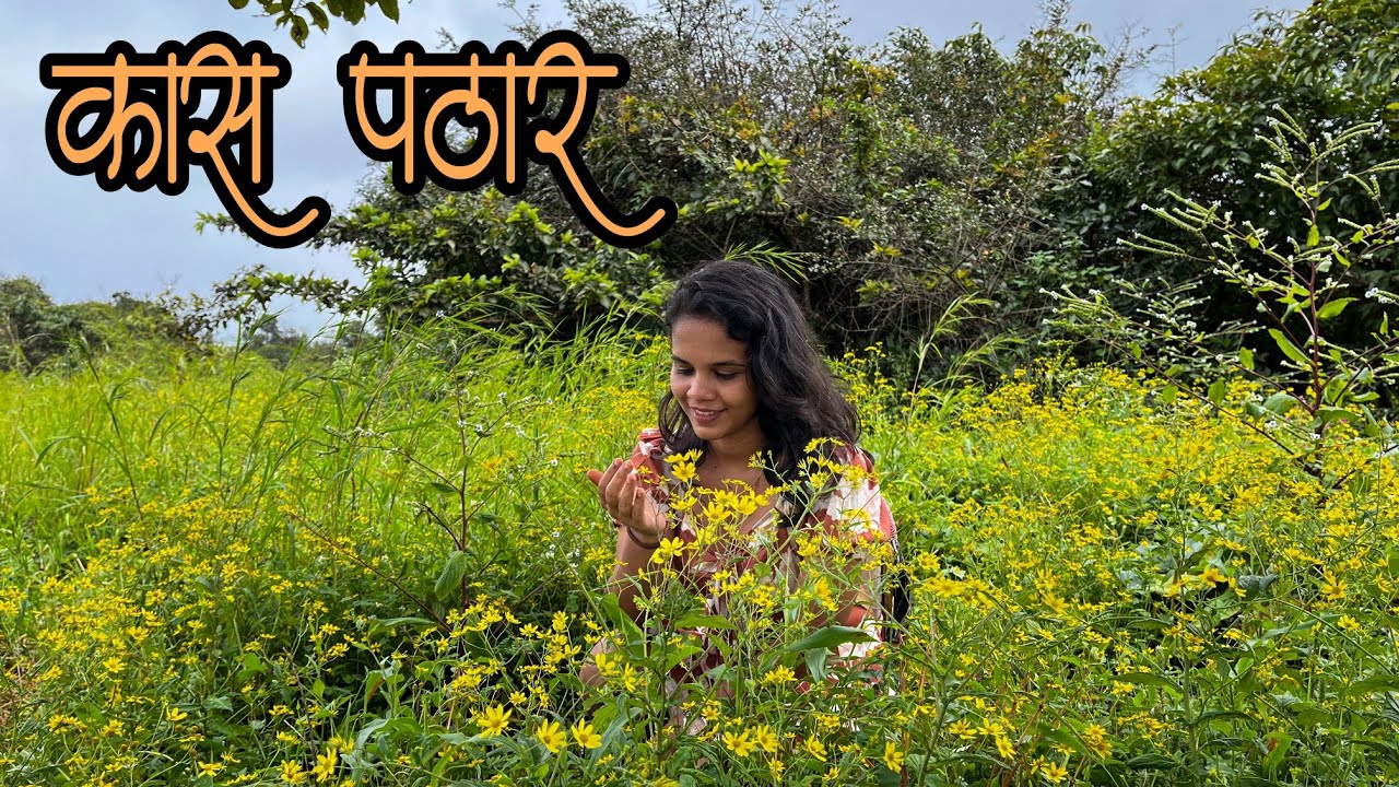 Kaas pathar satara | Kas pathar | कास पठार | The Valley of Flowers ...