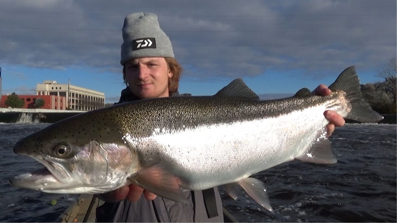 Urban Chrome FALL Steelhead - YouTube