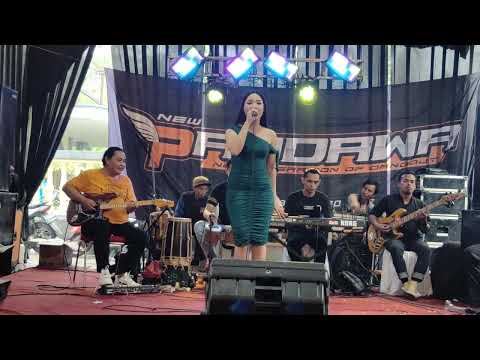 Terlena Vokal Dhila Sharena New Pandawa Music Support Creative Audio Live Harjokuncaran Sumawe 