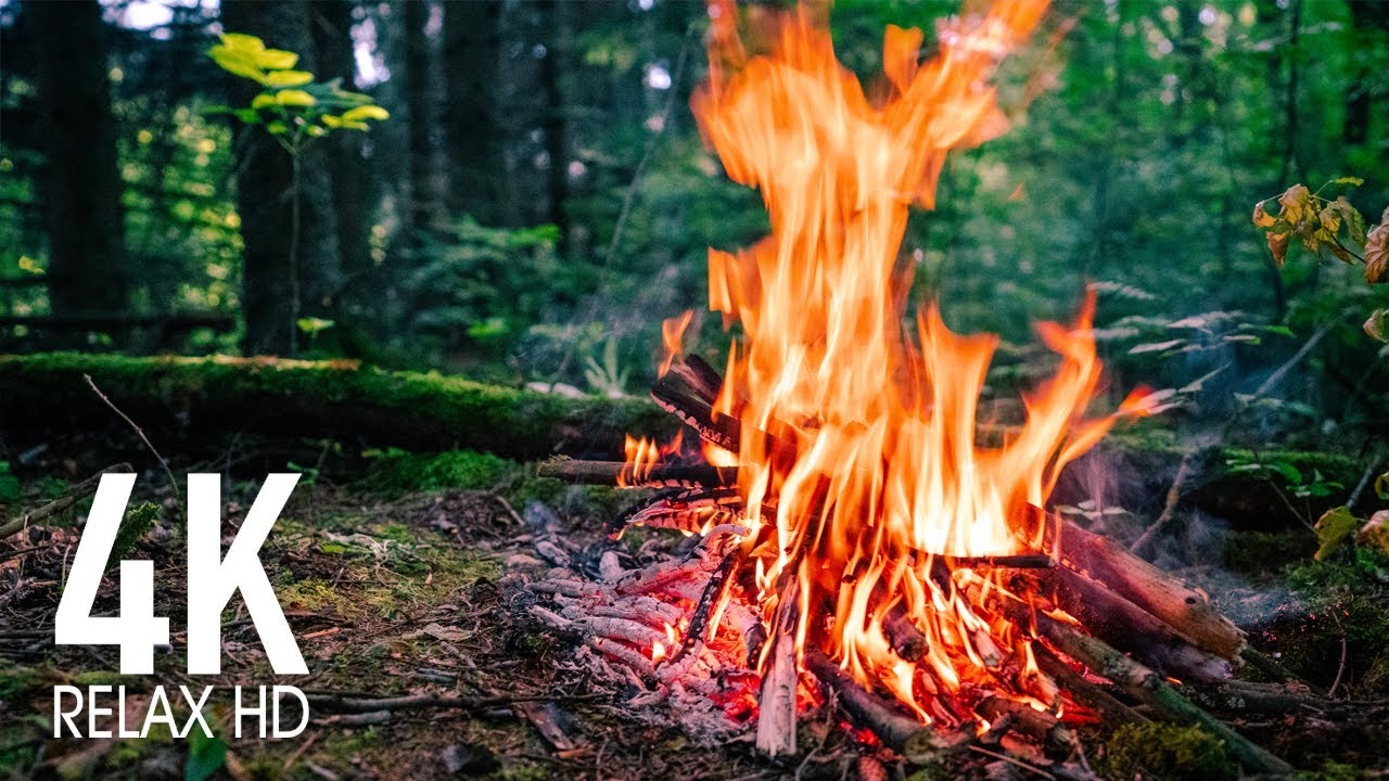 10 HOURS Campfire Sounds In the Forest — Relaxing Burning Fireplace ...
