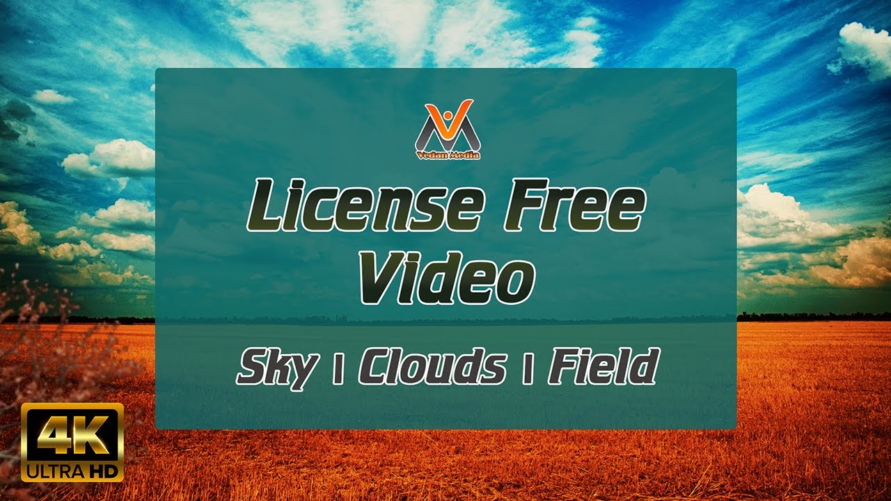 Golden Paddy Field Under a Blue Sky with Moving Clouds | Copyright Free ...