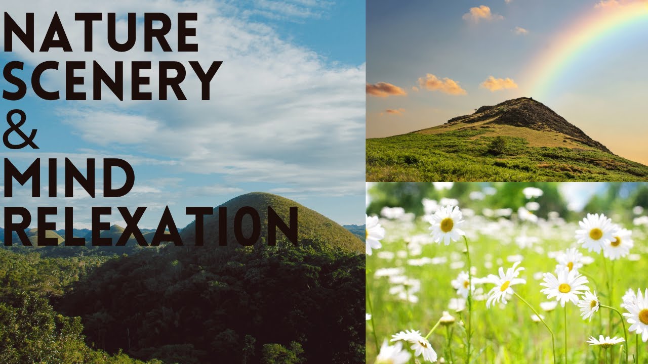 Amazing Nature Scenery|| Mind Relaxation Music|| Nature Loving Scenes ...