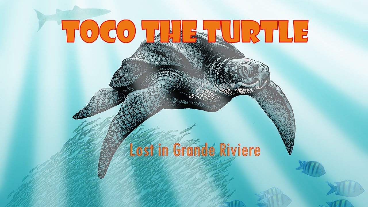 Toco the Turtle (English) - YouTube