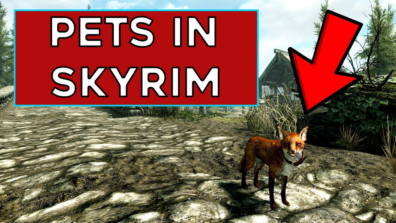 Skyrim Anniversary Edition NEW FOX PET! Where To Get Sweet Roll The Fox ...