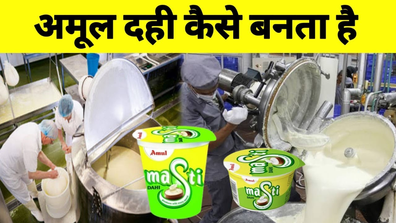 Amul Dahi Factory Mein Kaise Banti Hai | Amul Dahi Kaise Banai Jati Hai ...