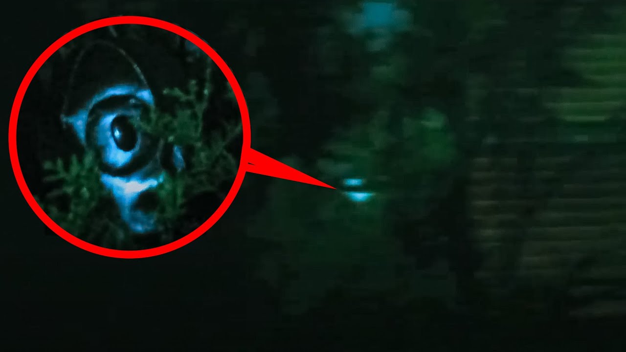 10 Mysterious Creatures Caught On Camera You Wish Not To See - YouTube