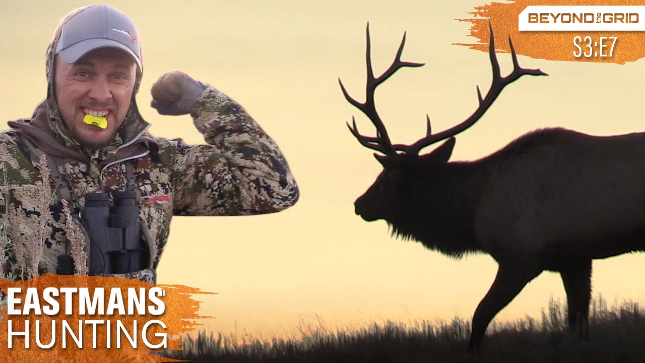 Beating The Odds! Public Land Bow Hunting for Elk - YouTube