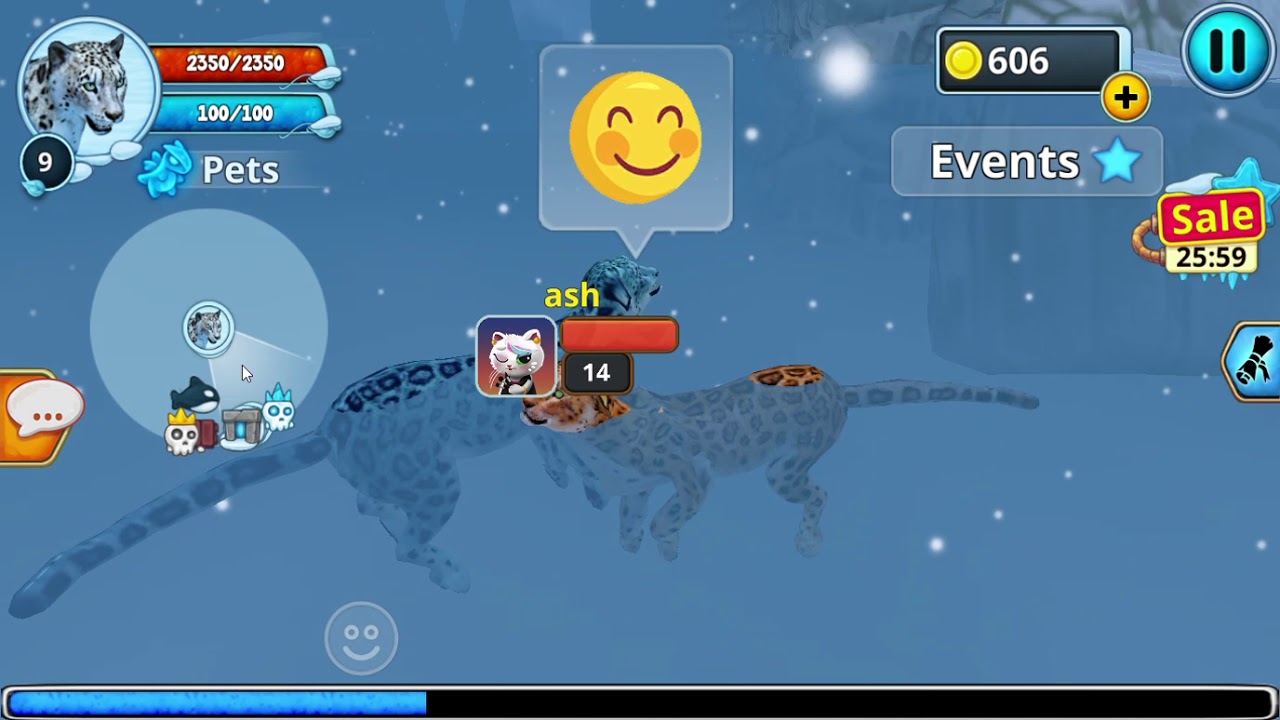 Snow Leopard Family Sim Online #3 Race Of The Orcas - YouTube