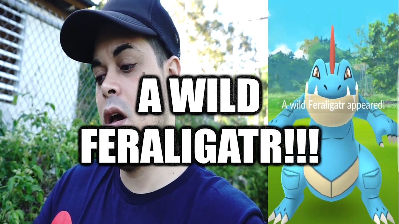 Pokemon GO Puerto Rico - Feraligatr & Evolution Items Vlog Ep2 - YouTube