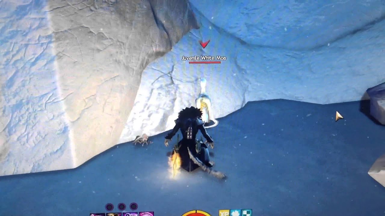 Gw2 Juvenile White Moa??????!!!!! - YouTube