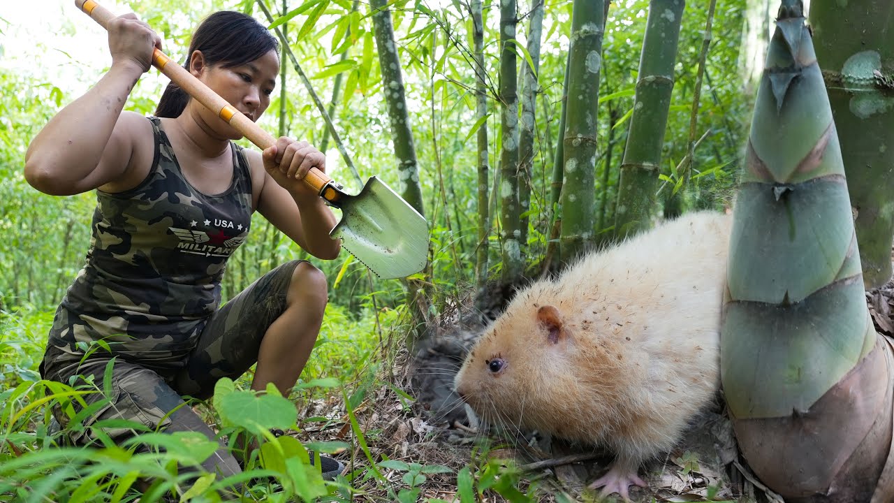 Trace and Dig - Caught a Rare White Bamboo Rat/ Bushcraft & Survival Part 9 - YouTube