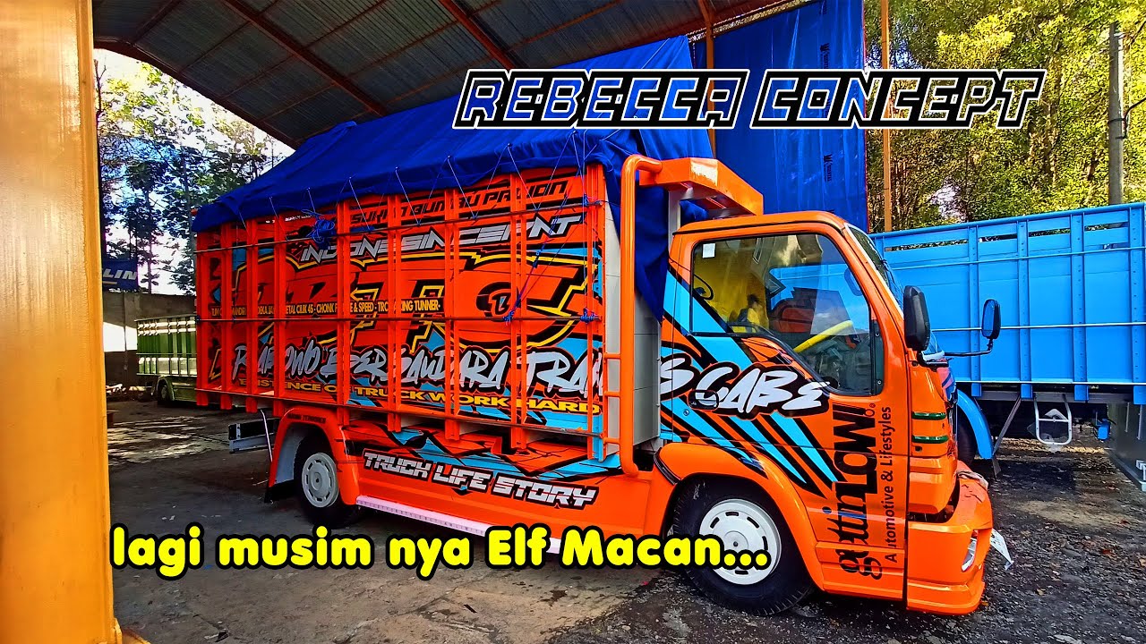 Ternyata Ini Elf Oren nya TRC Prabowo Bersaudara Trans Cabe - Rebecca ...