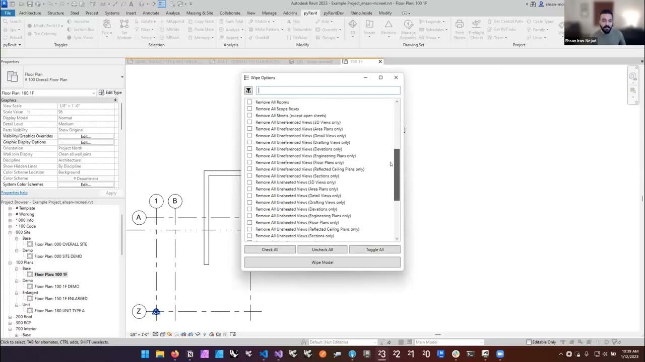 Revit Model Health With Pyrevit Youtube