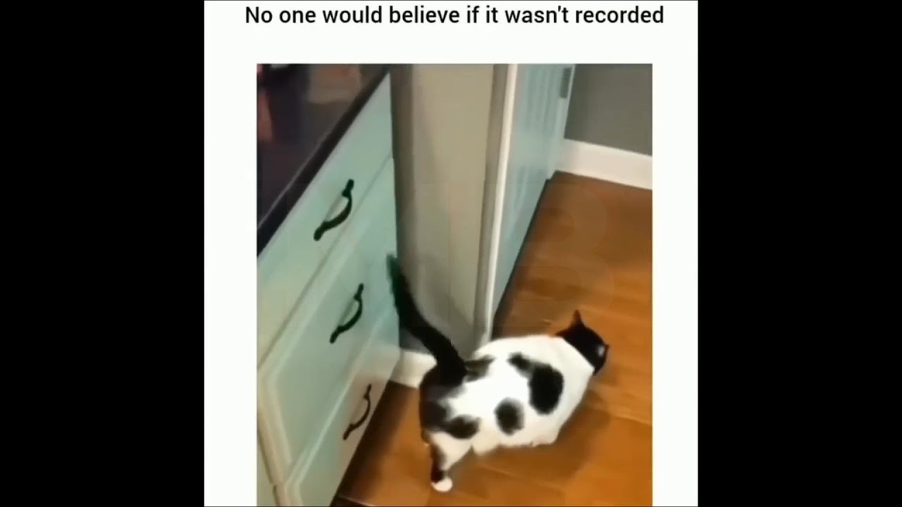 If You Laugh, You RESTART | #16 | February | Funny | Comedy | - YouTube