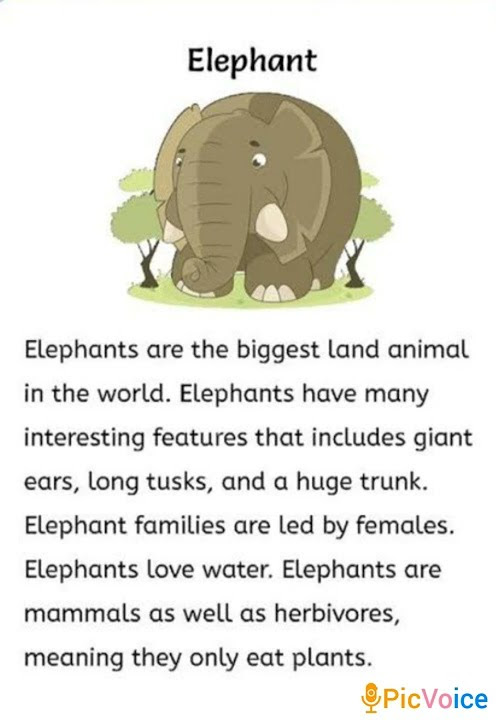 Short Paragraph :- Elephant - YouTube