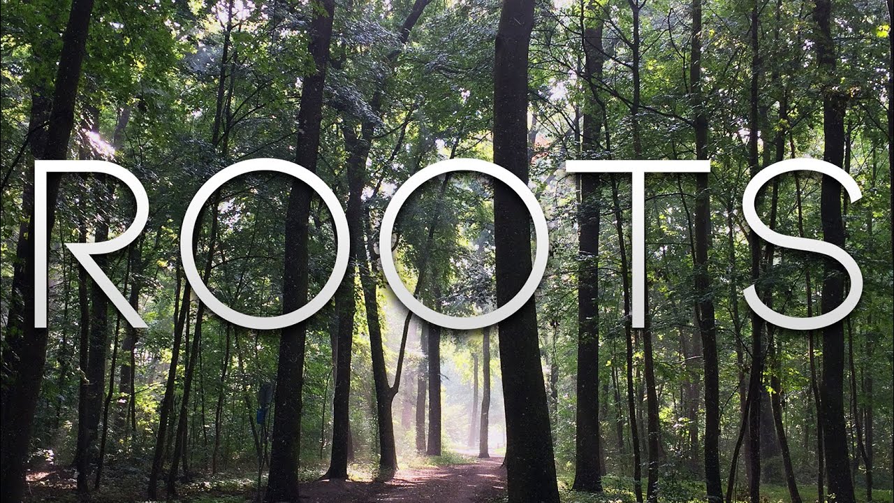 Mathis Marshall - Roots - YouTube