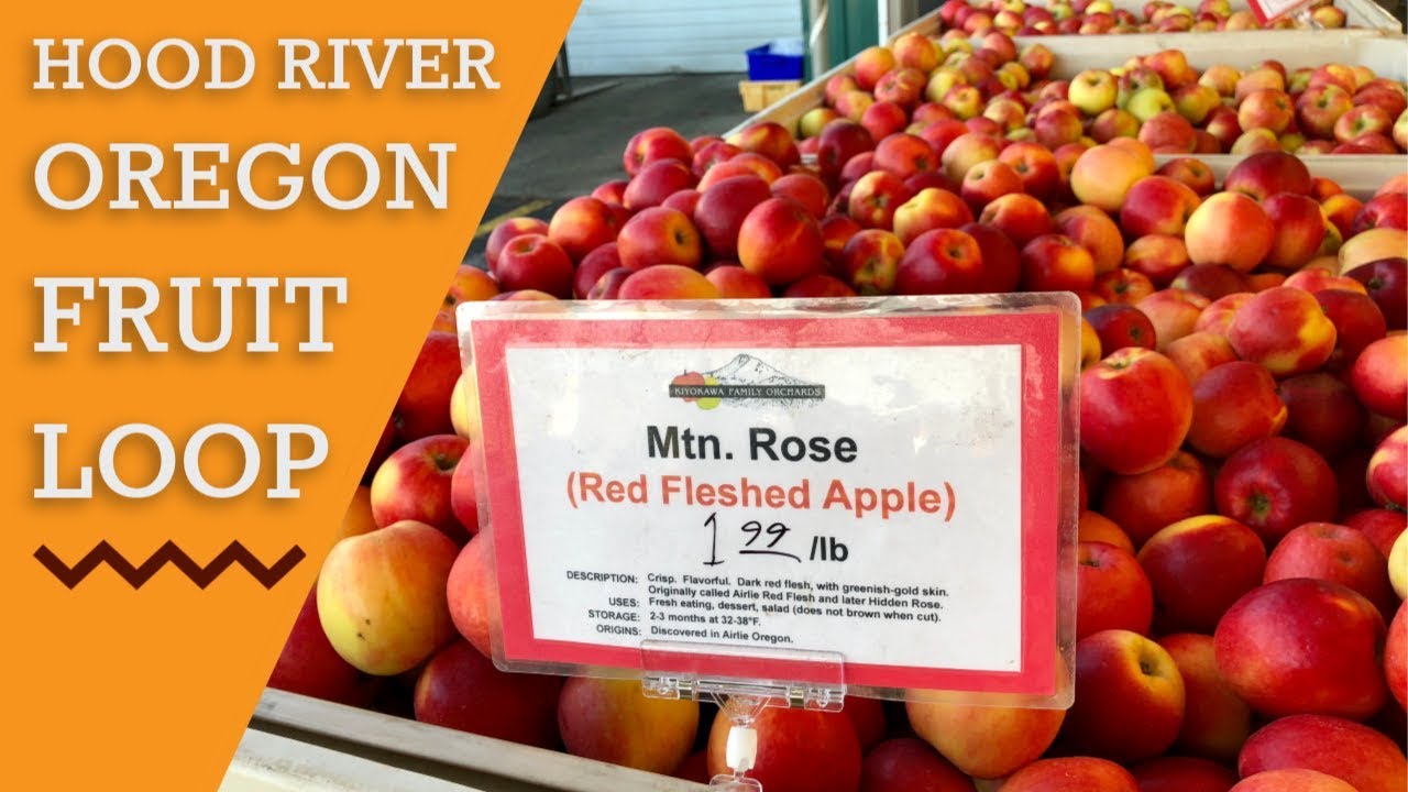 Hood River Fruit Loop in the Fall - fall colors, apples, Mount Hood ...