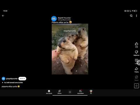 Popomu elliyor ya bu