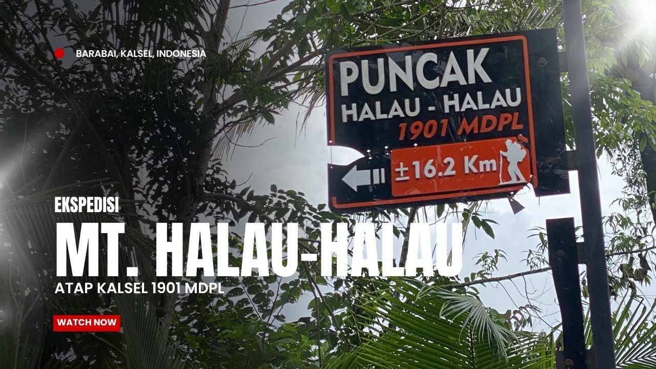 Random vlog Ekspedisi atap Kalsel Mt Halau-halau 1901 Mdpl... - YouTube