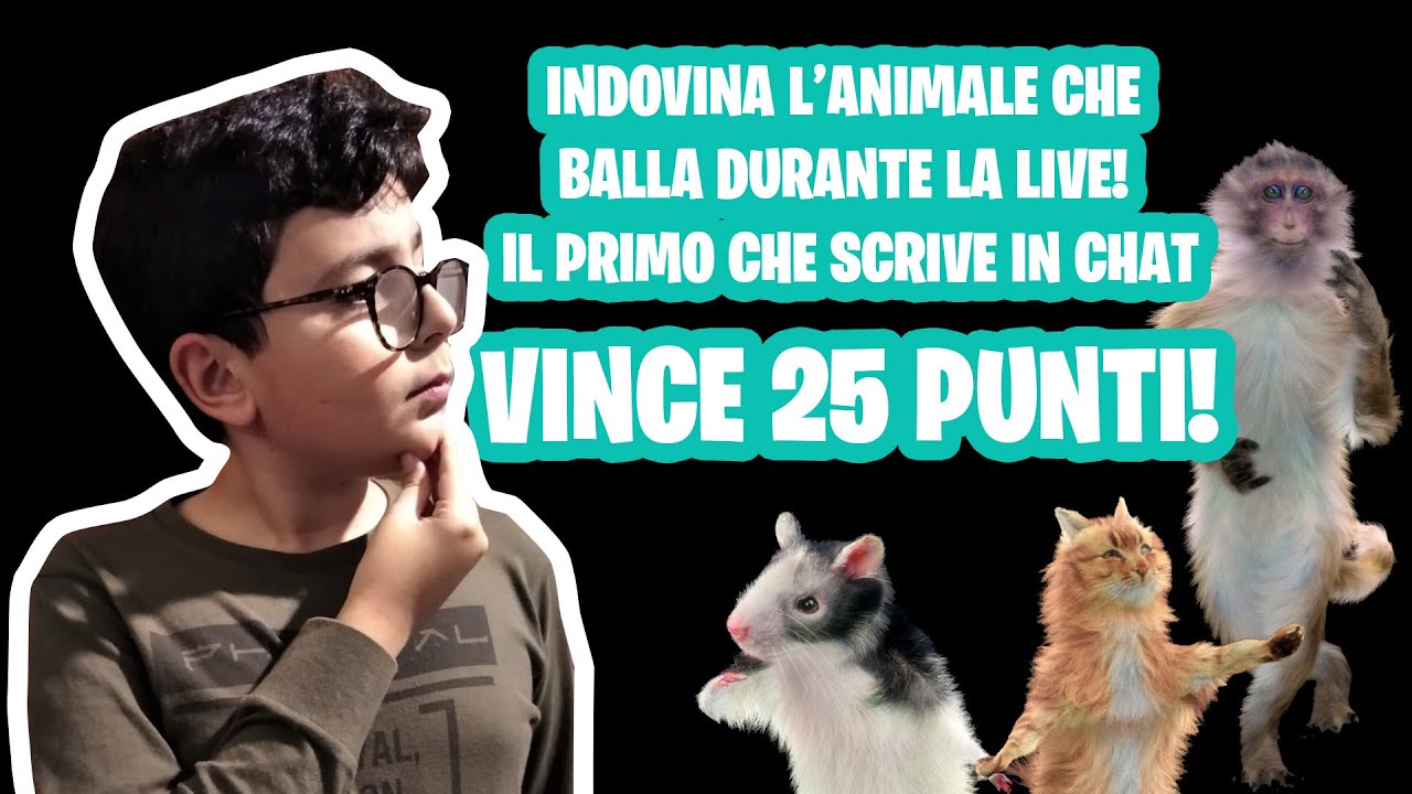 Indovina l'animale che balla e vinci 25 punti, Iscritto Ricambio tra di ...