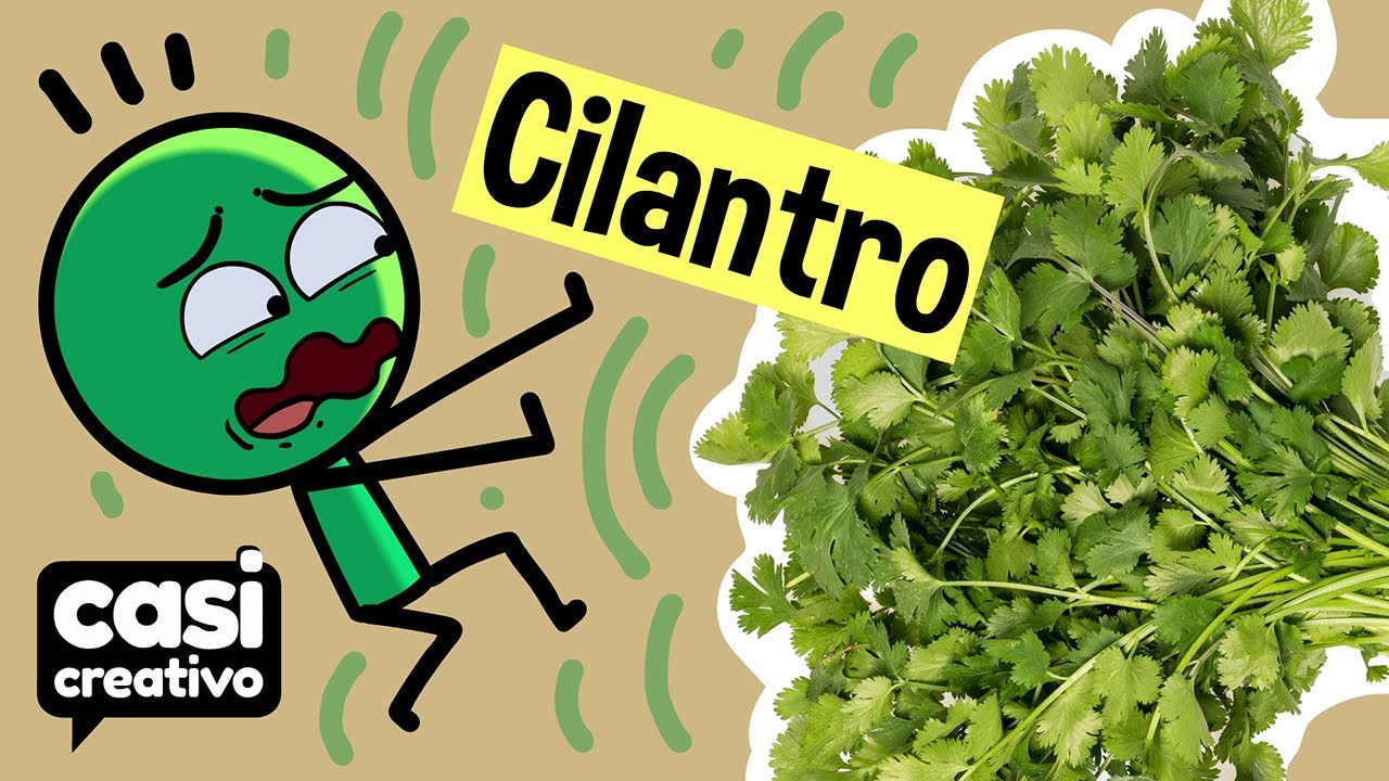 Si no te gusta el cilantro... | Casi Creativo - YouTube