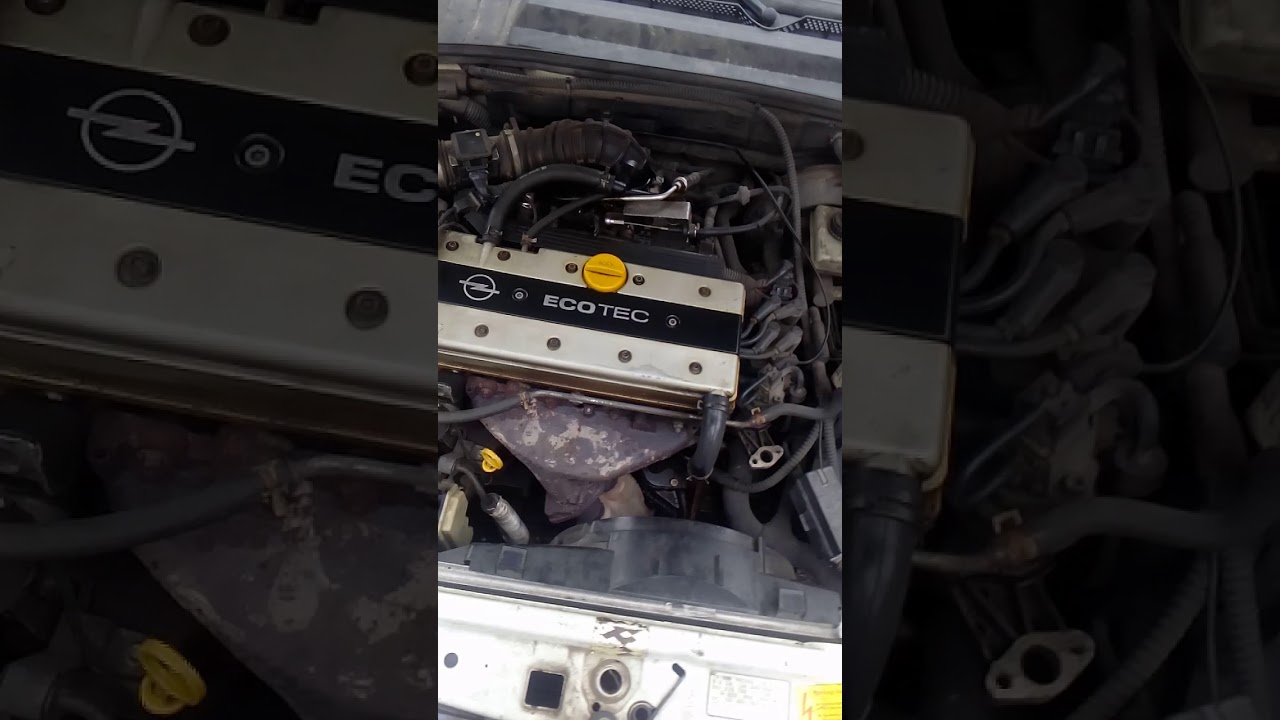 Opel Vectra B Engine SCREAMING (2.0 16v ECOTEC) - YouTube