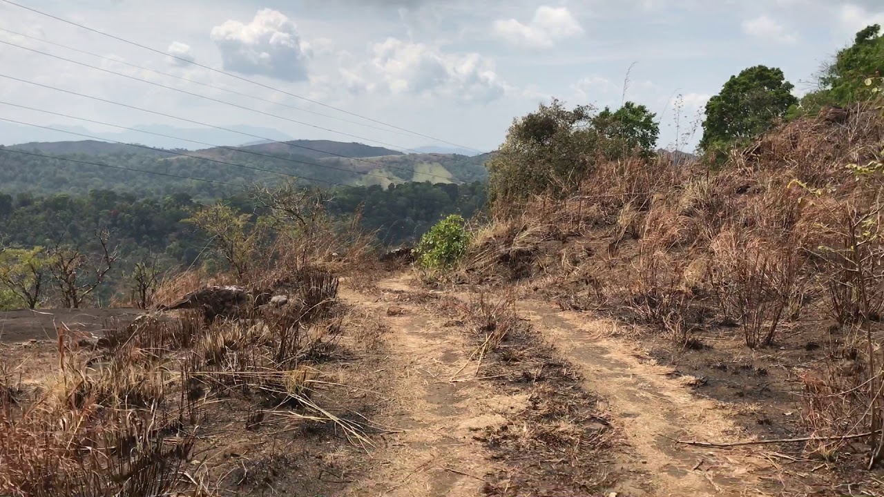Adventurous off-road trip to palkulamedu, idukki in jeep(13) - YouTube