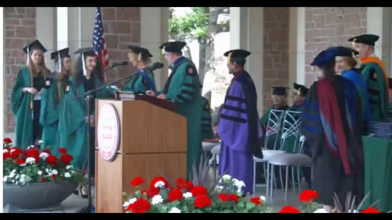 Washington University in St. Louis Class of 2017 - YouTube