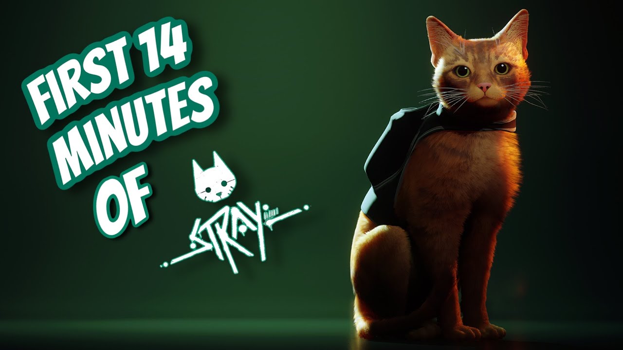 Stray - The Opening 14 Minutes - YouTube