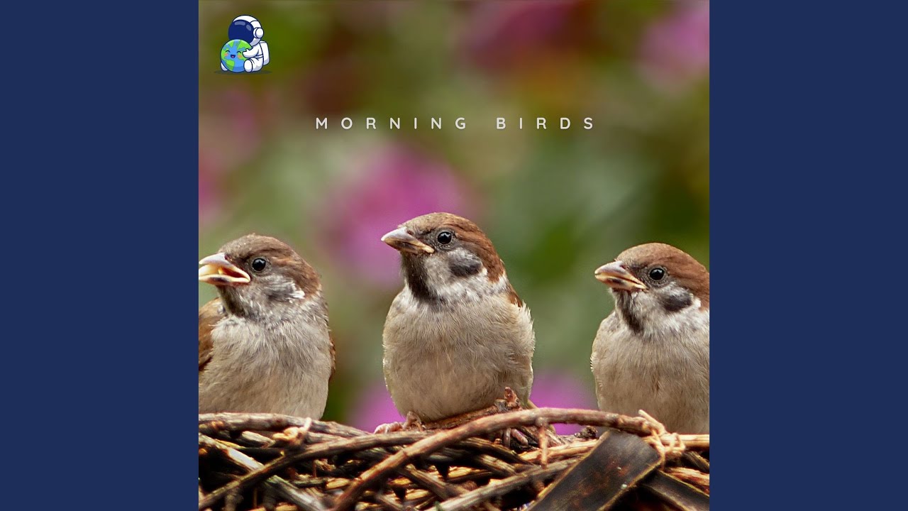 The Morning Song Pt. 1 - YouTube