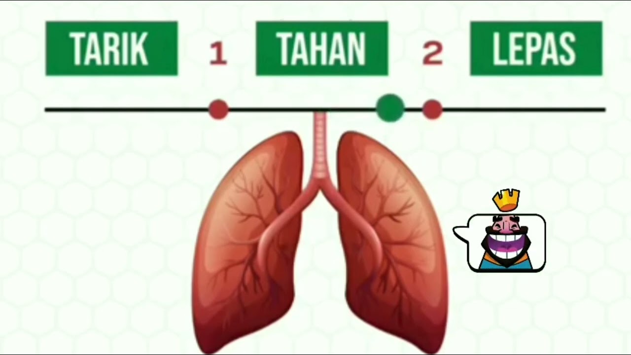 Tes kesehatan paru-paru (meme) - YouTube