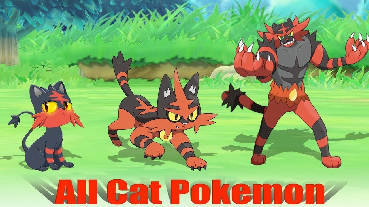 Tous les Pokémon Chats - La série des chats de Pokémon - YouTube