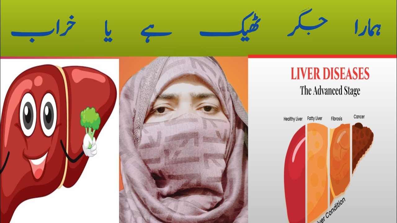 Liver Kia ha /Liver disease symptoms .Five signs your liver damaged ...