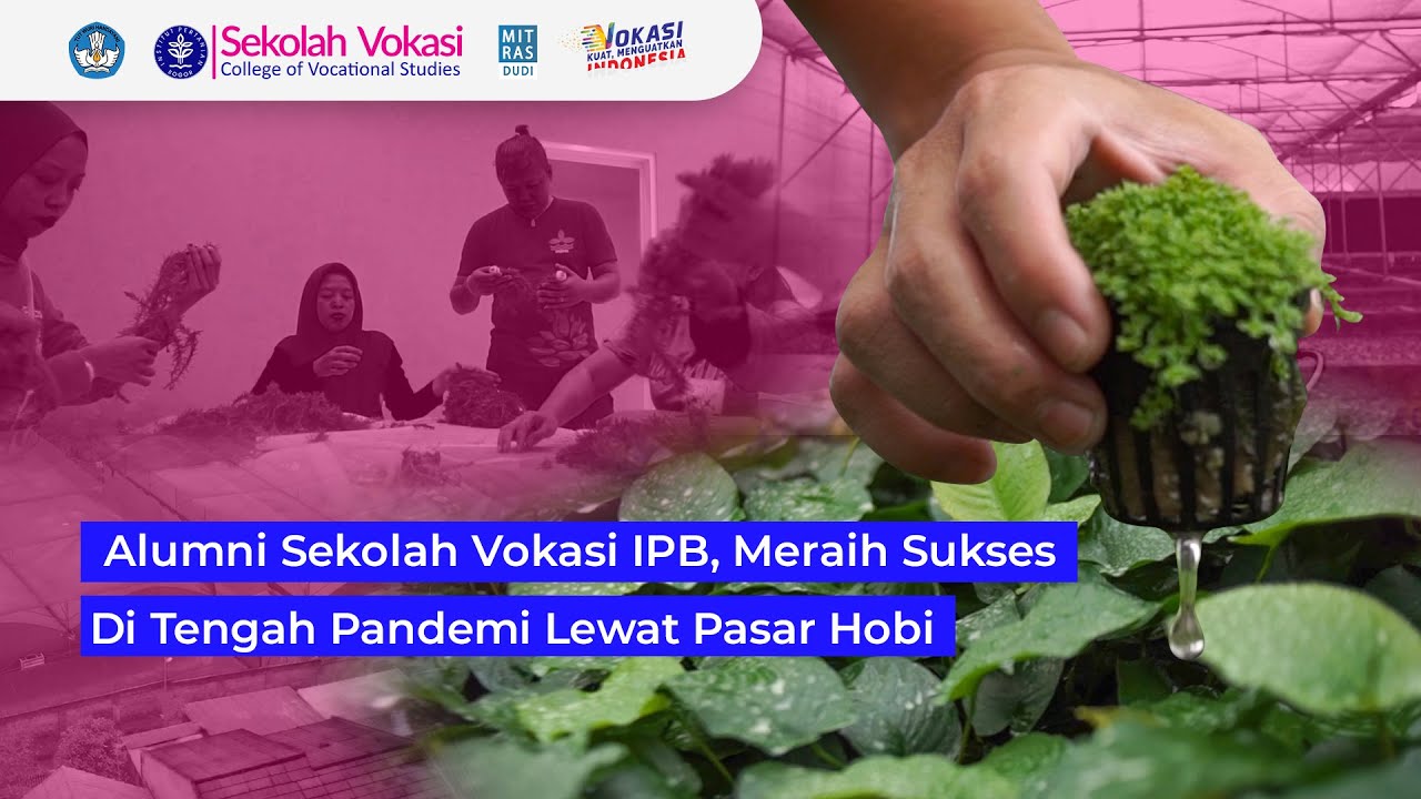 Alumni Sekolah Vokasi IPB, Meraih Sukses Di Tengah Pandemi Lewat Pasar ...