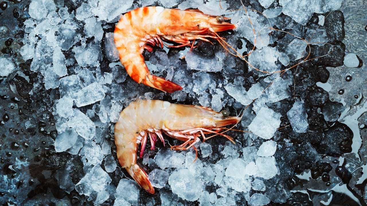 Australian Wild Tiger Prawn - YouTube