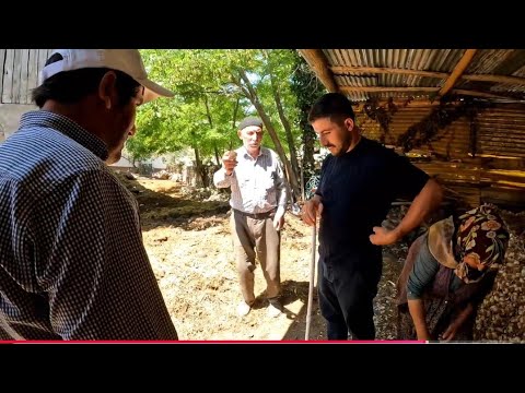 SICAK BİR KÖY SABAHI SARIMSAKLAR  İŞLER GÜÇLER 