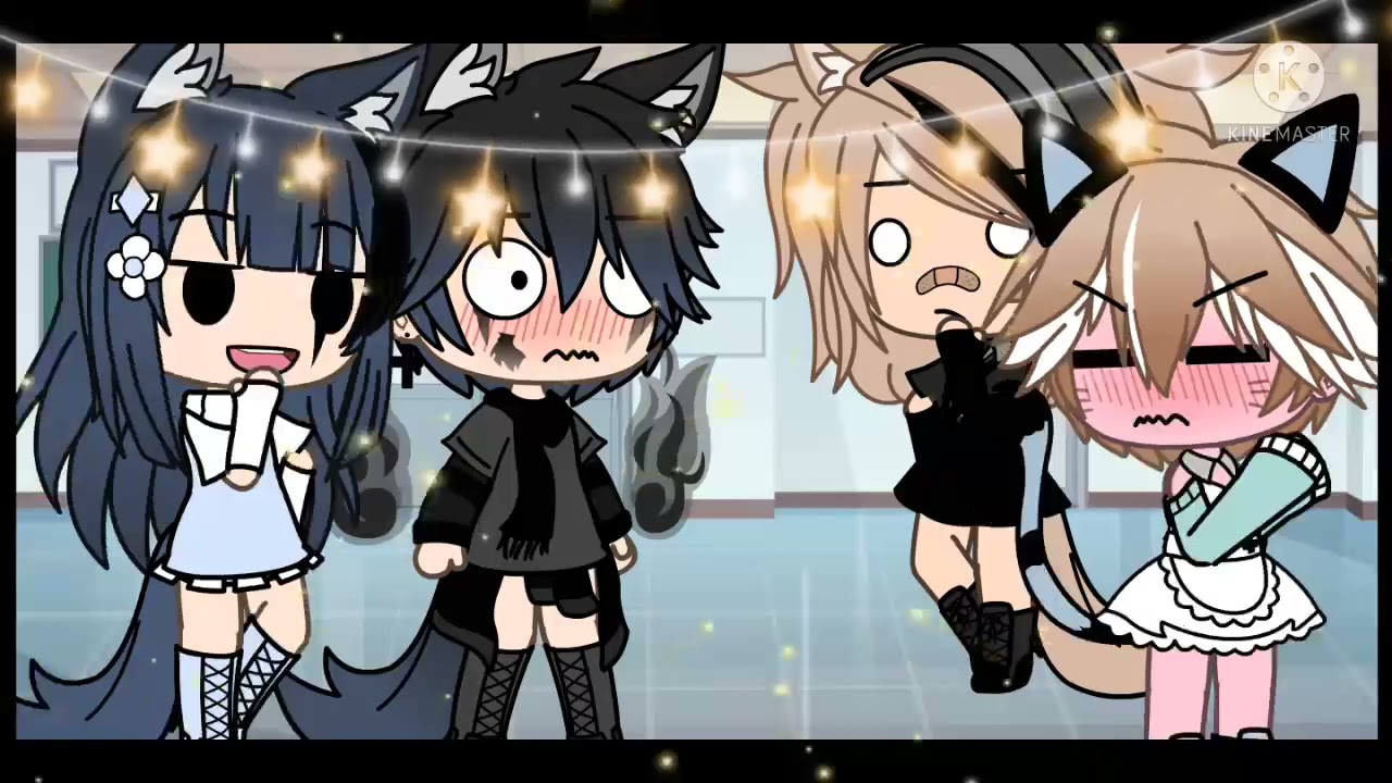 -Gay Test meme- [Rylan] by Shadow🥀 ️ - YouTube