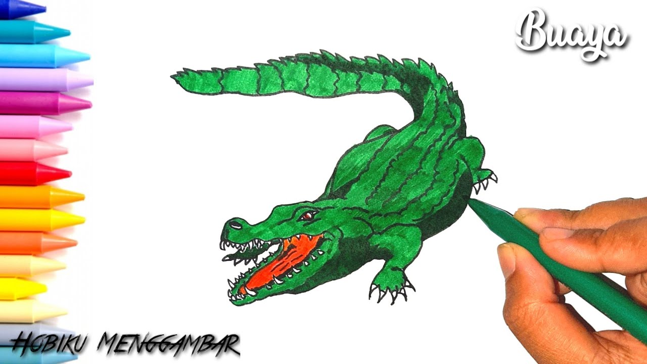 Cara menggambar Buaya || Tutorial menggambar hewan buaya - YouTube