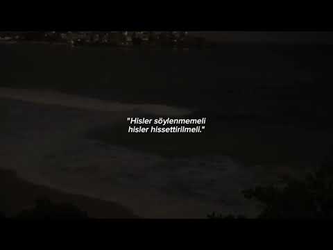 🖤🍷Whatsapp ucun sevgiyə aid maraqlı statuslar Sounds App mahnı Status ucun video qısa