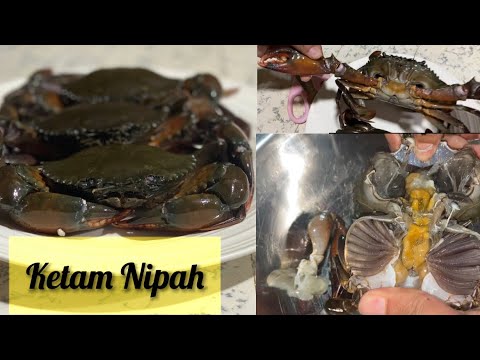How to clean Mud Crab | Cara menyiang Ketam Nipah | Kanda nandu - YouTube