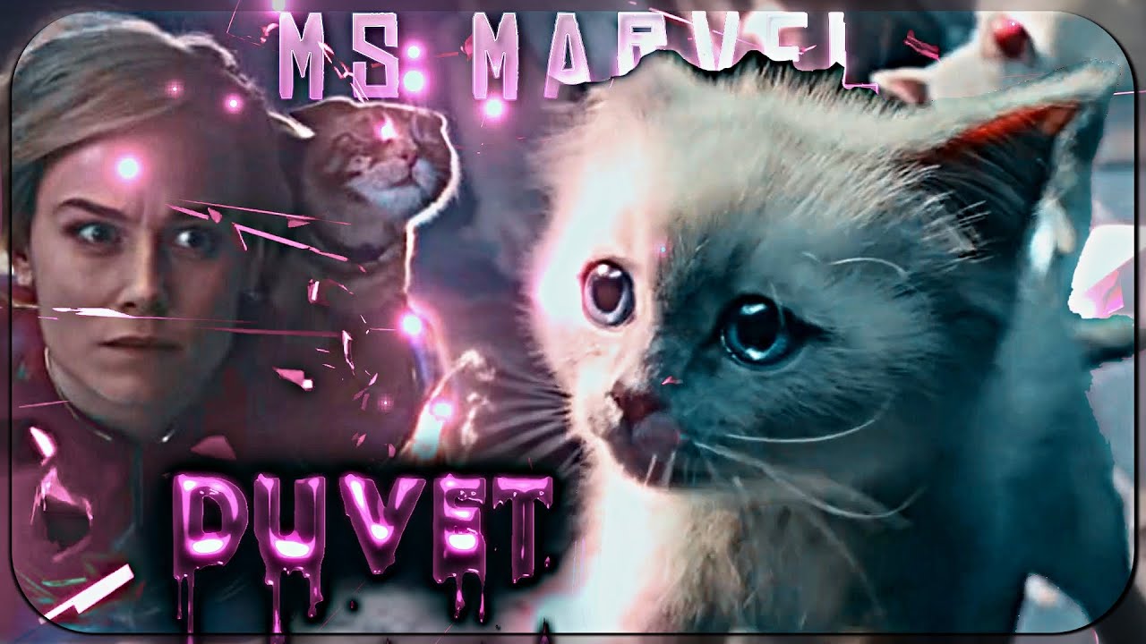Ms Marvel - Cats - Duvet - [Edit/Amv] - YouTube
