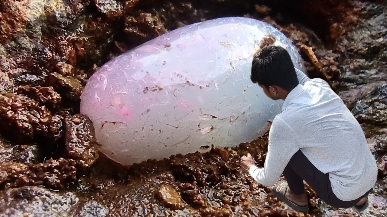 How to dig red gem,amethysts, and Red agate crystals in the deep forest ...