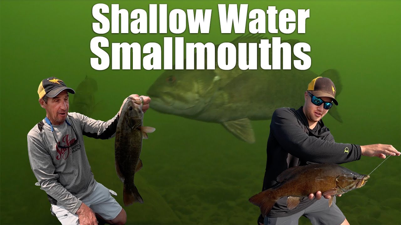 Catching Shallow Water Smallmouth Bass - YouTube