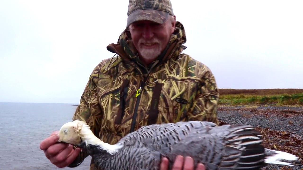 Emperor goose hunting videos, kill shots - YouTube