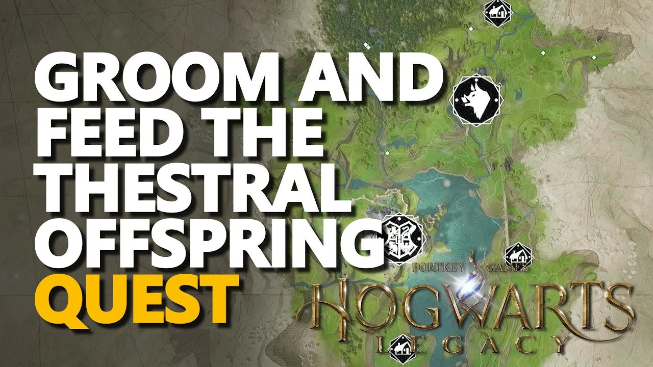 Groom and feed the Thestral Offspring Hogwarts Legacy - YouTube