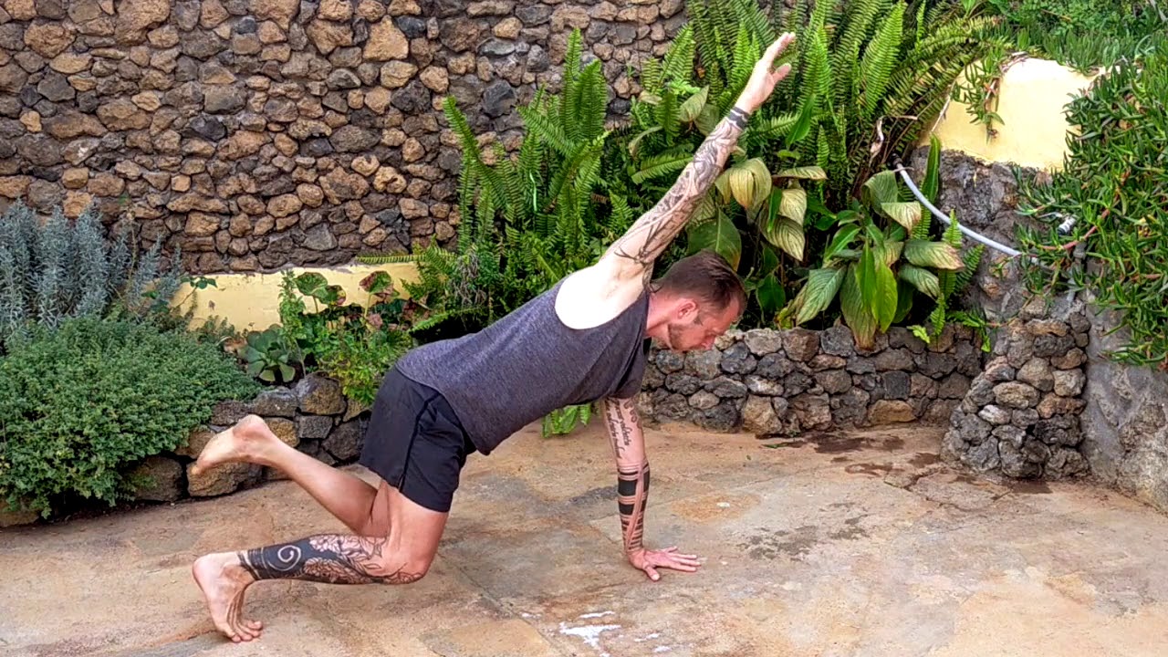 Beast Arm & leg lifts front - YouTube