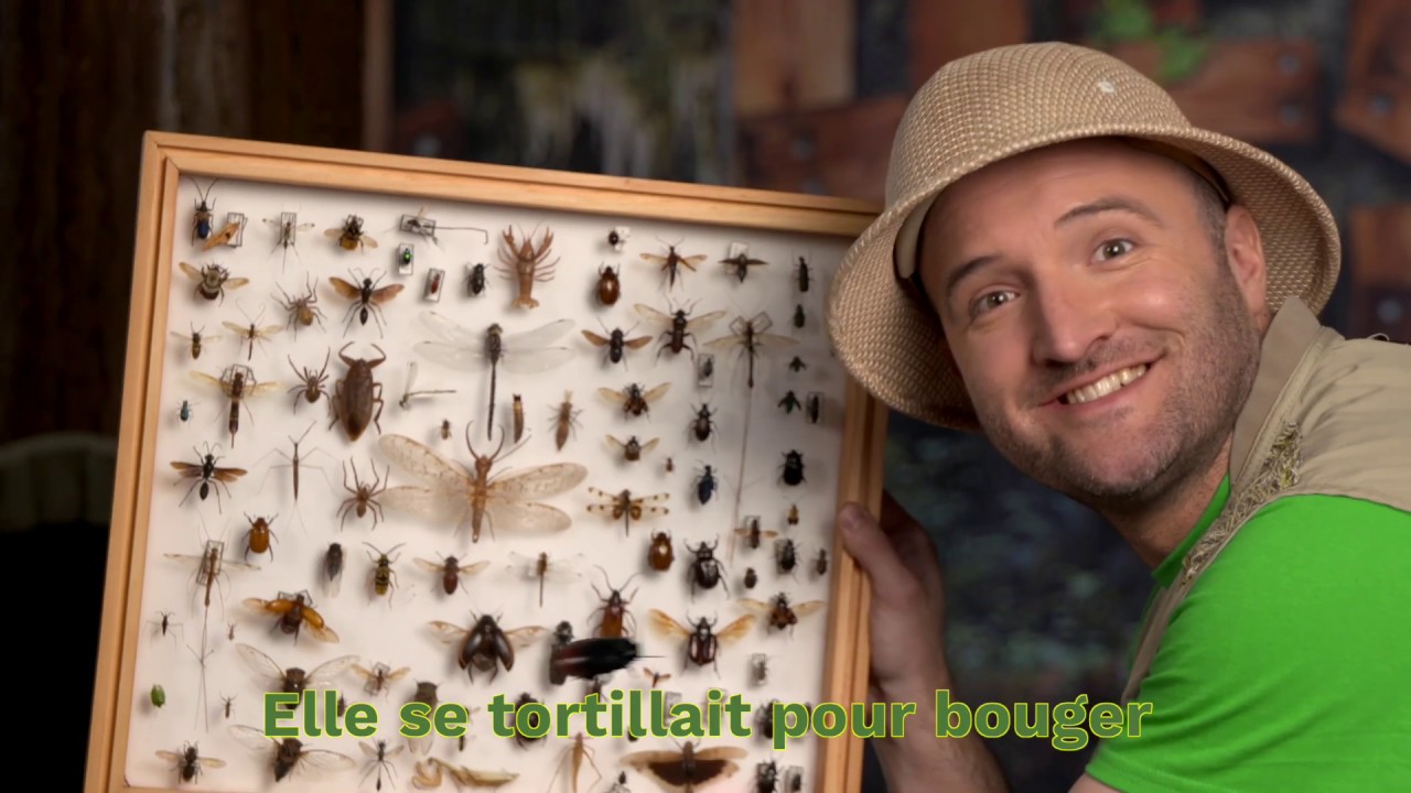 Bill Bestiole - Métamorphose (KARAOKÉ) - YouTube