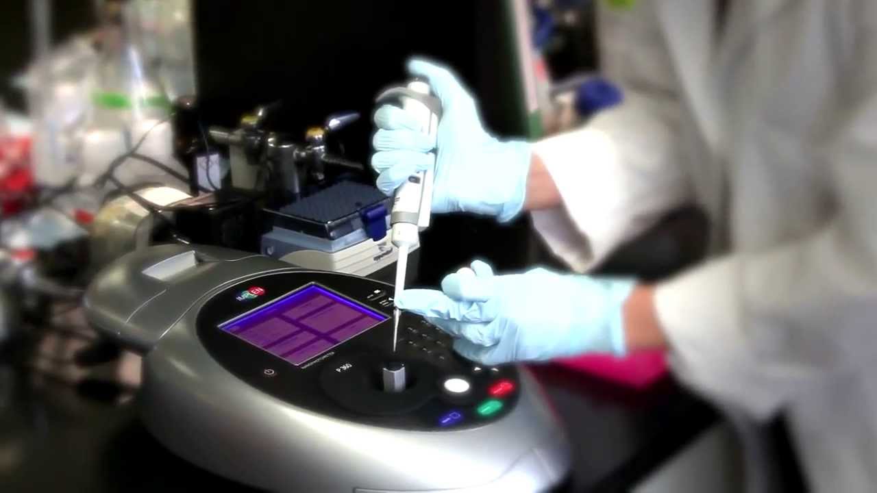 Máy quang phố NanoPhotometer - Implen - đo DNA/ RNA/ Protein - YouTube