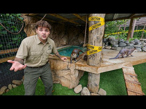 We had an EMERGENCY in the OTTER Enclosure!!