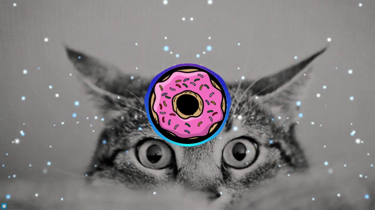 Nyan Cat - Donut - YouTube
